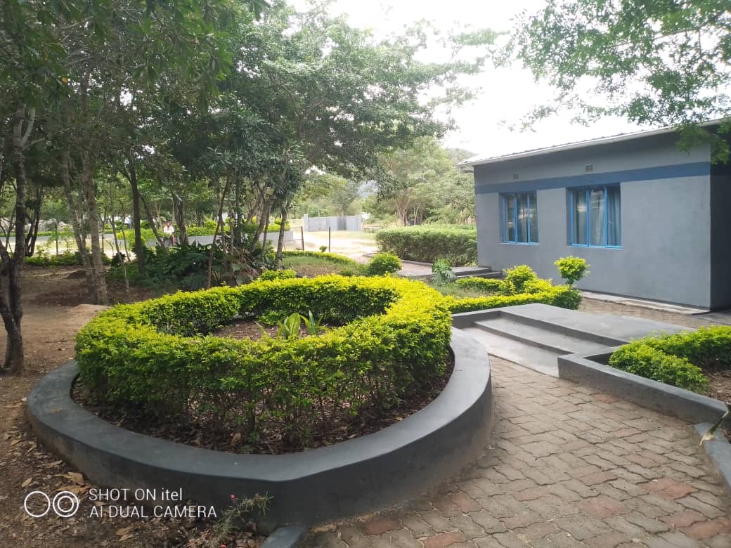 Mwashita Academy – Nurturing Innovative Thinking