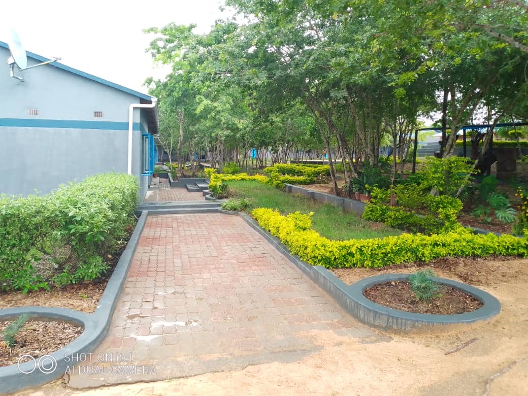 Governance Structure – Mwashita Academy